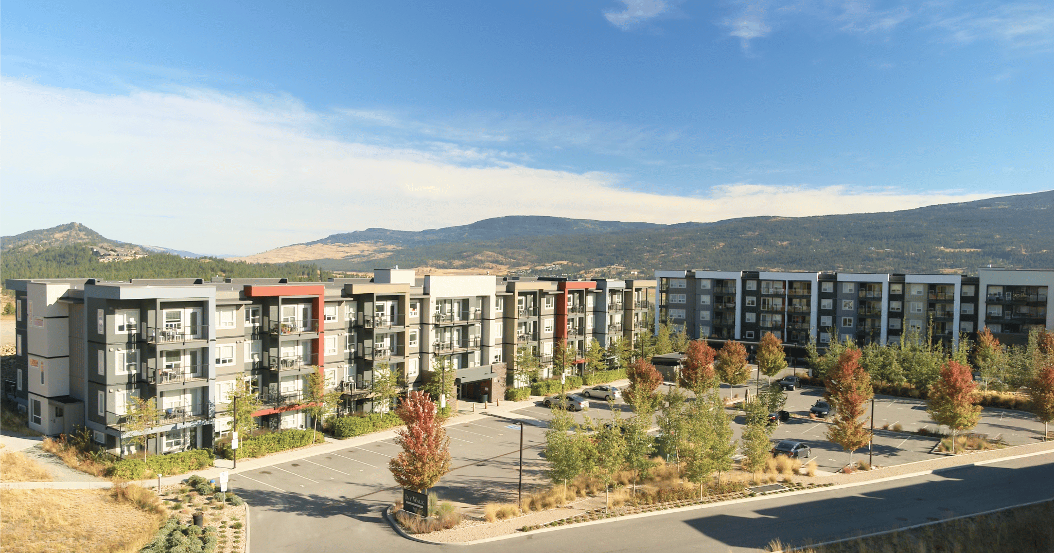 Thank You For Registering | Ivy Hall & Ivy Walk | Mission Group